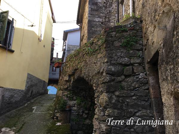 Il borgo di Cecina, Fivizzano
